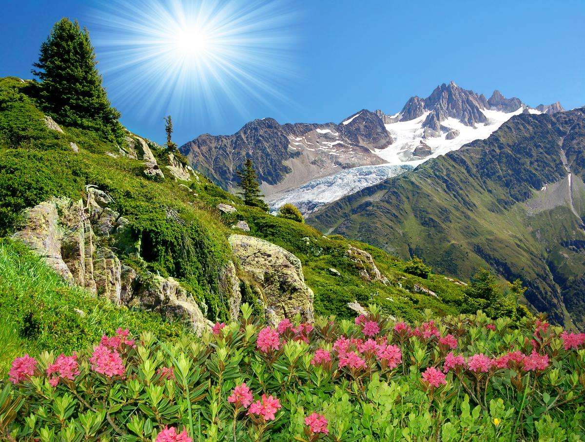 Explore the Enchanting Valley of Flowers » The Peak Vibes